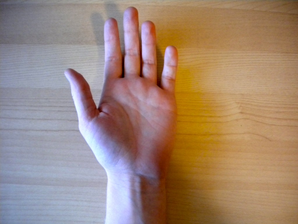 Palpable Anatomy: The Palmaris longus tendon | Bone Broke