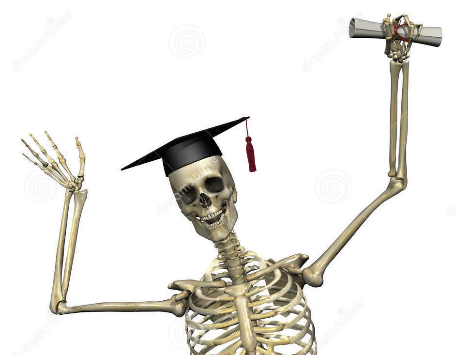 Supination | Bone Broke